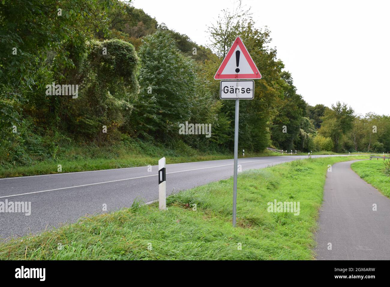 goose warning traffic sign Stock Photo - Alamy