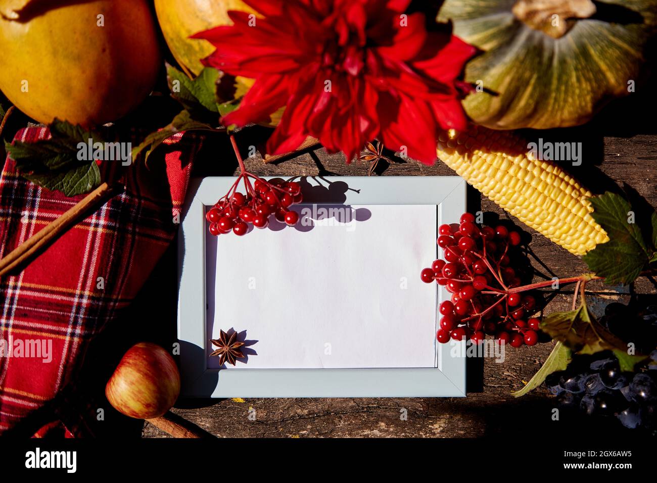 Autumn creative mood board concept: fruits and vegetables, pumpkin ...
