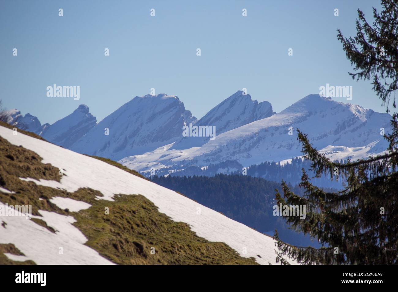Goldingen hi-res stock photography and images - Alamy