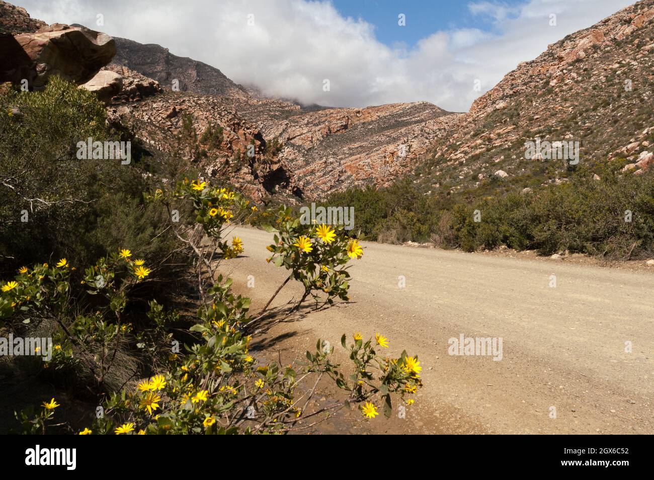 The road through the Seweweekspoort in the Western Cape, South Africa ...