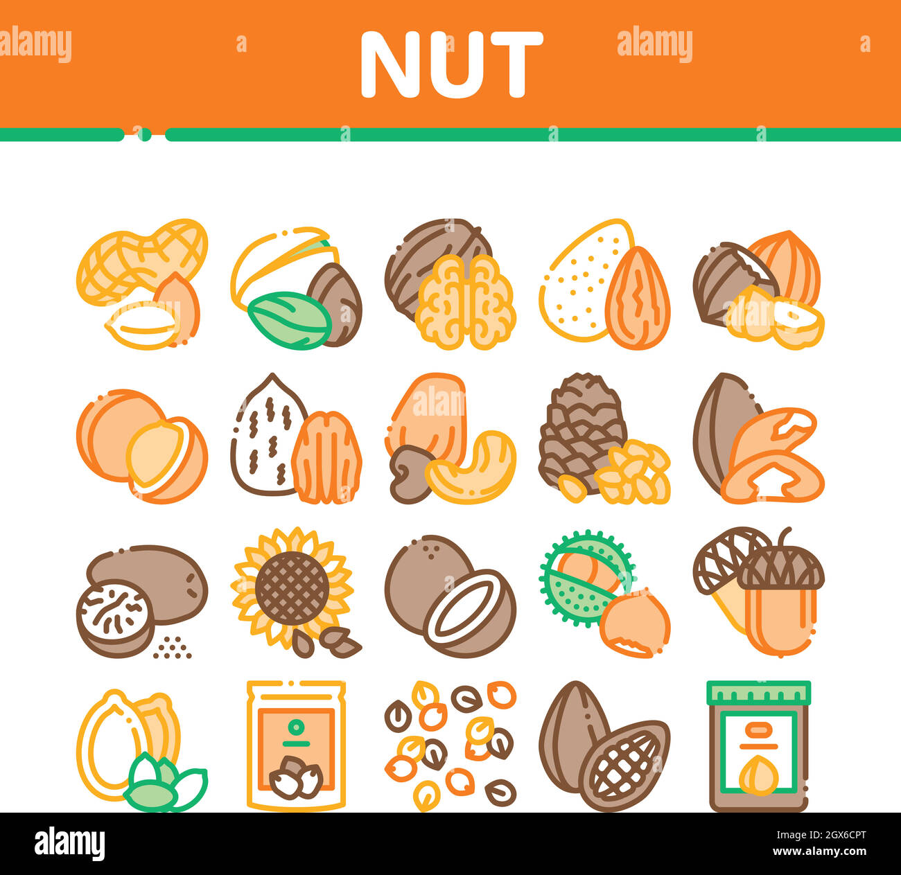 Nut Food Different Collection Icons Set Vector Stock Vector Image & Art ...