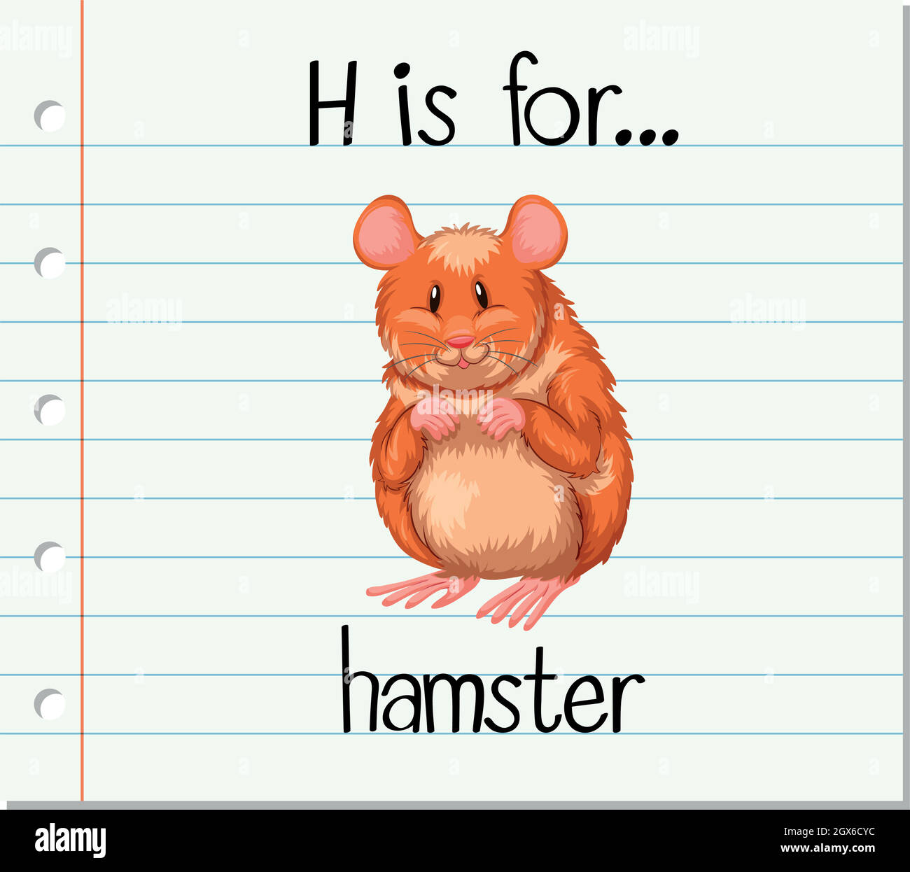 Flashcard letter H is for hamster Stock Vector Image & Art - Alamy
