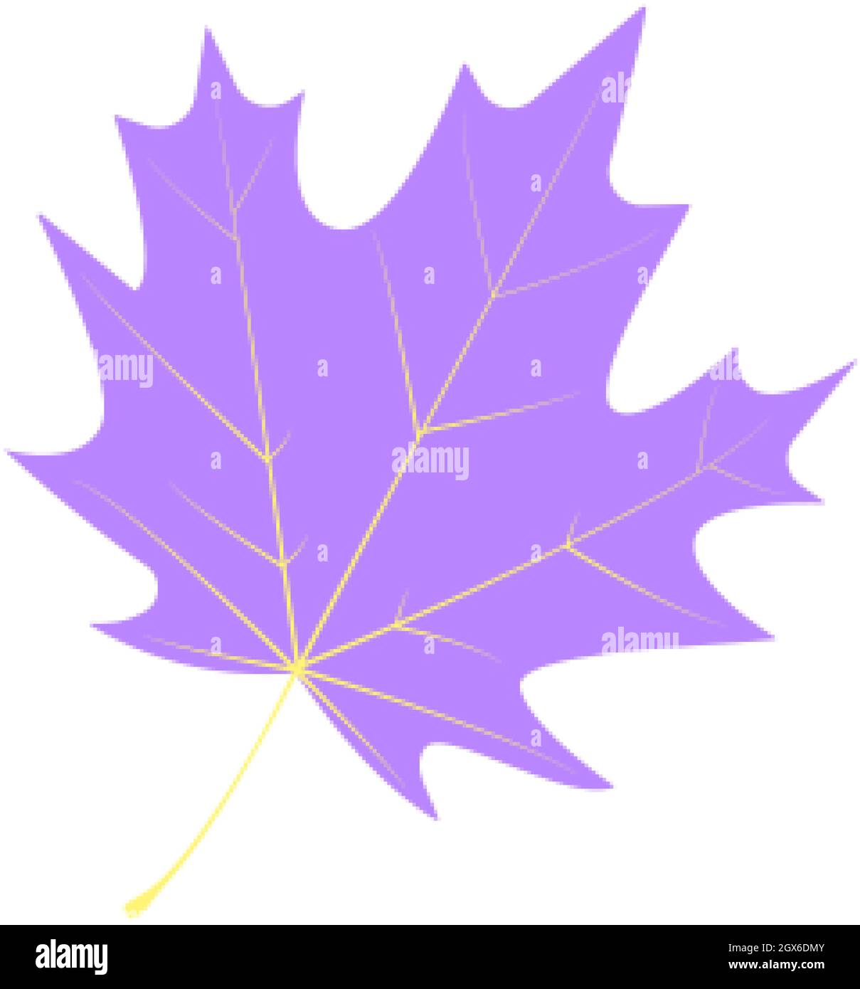Variegated maple leaves Stock Vector Images - Alamy