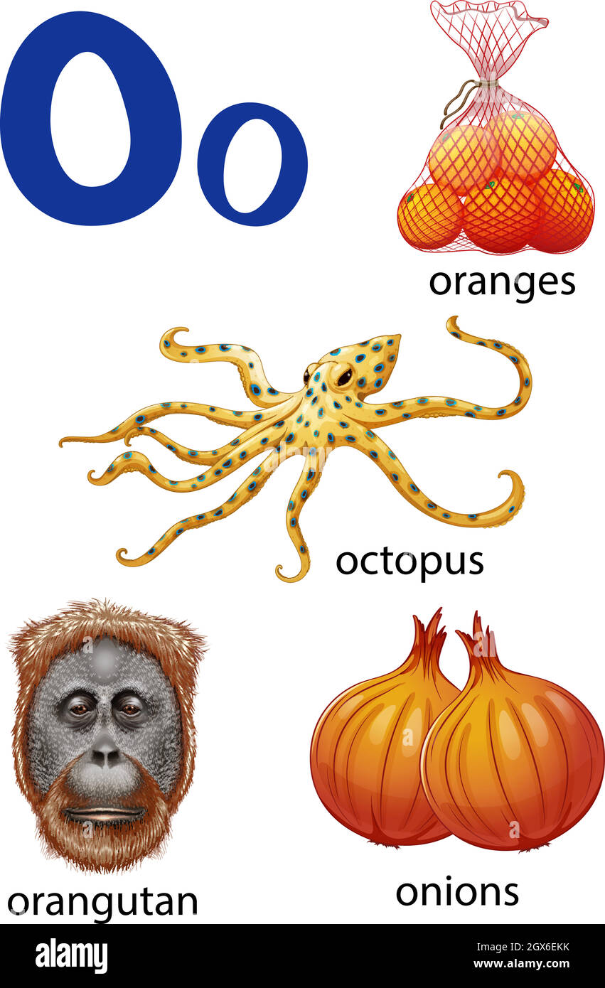 Things that start with the letter O Stock Vector Image & Art - Alamy