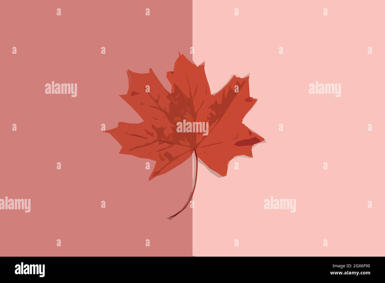 Colorful autumn leave, isolated on pink background. cartoon flat style ...