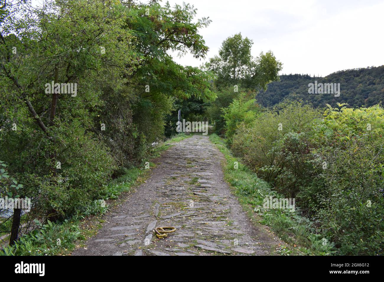 rough path to the Loreley statue Stock Photo - Alamy