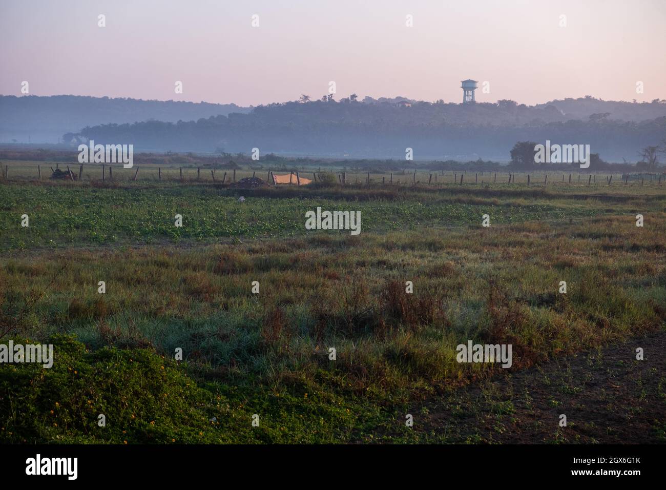 Sunrise, road in Indian fields, Goa, India Stock Photo - Alamy