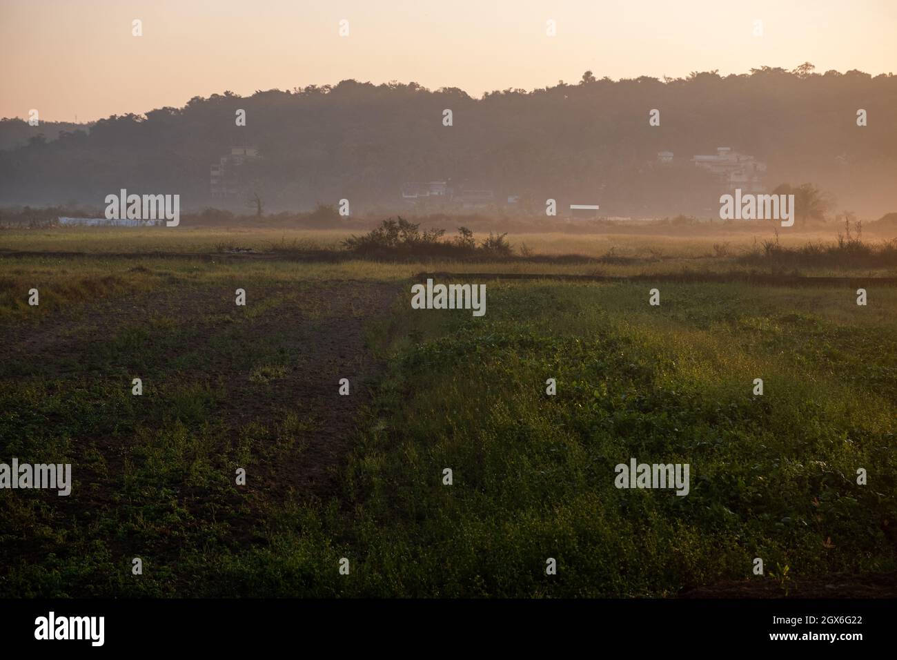 Sunrise, road in Indian fields, Goa, India Stock Photo - Alamy