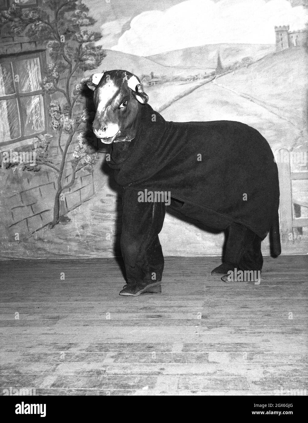 Daisy cow Black and White Stock Photos & Images - Alamy