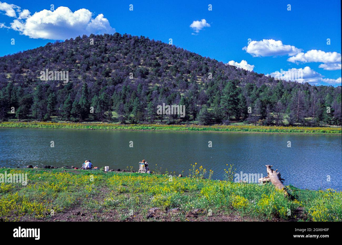 Fishing in Kaibab Lake, Arizona, USA Stock Photo - Alamy