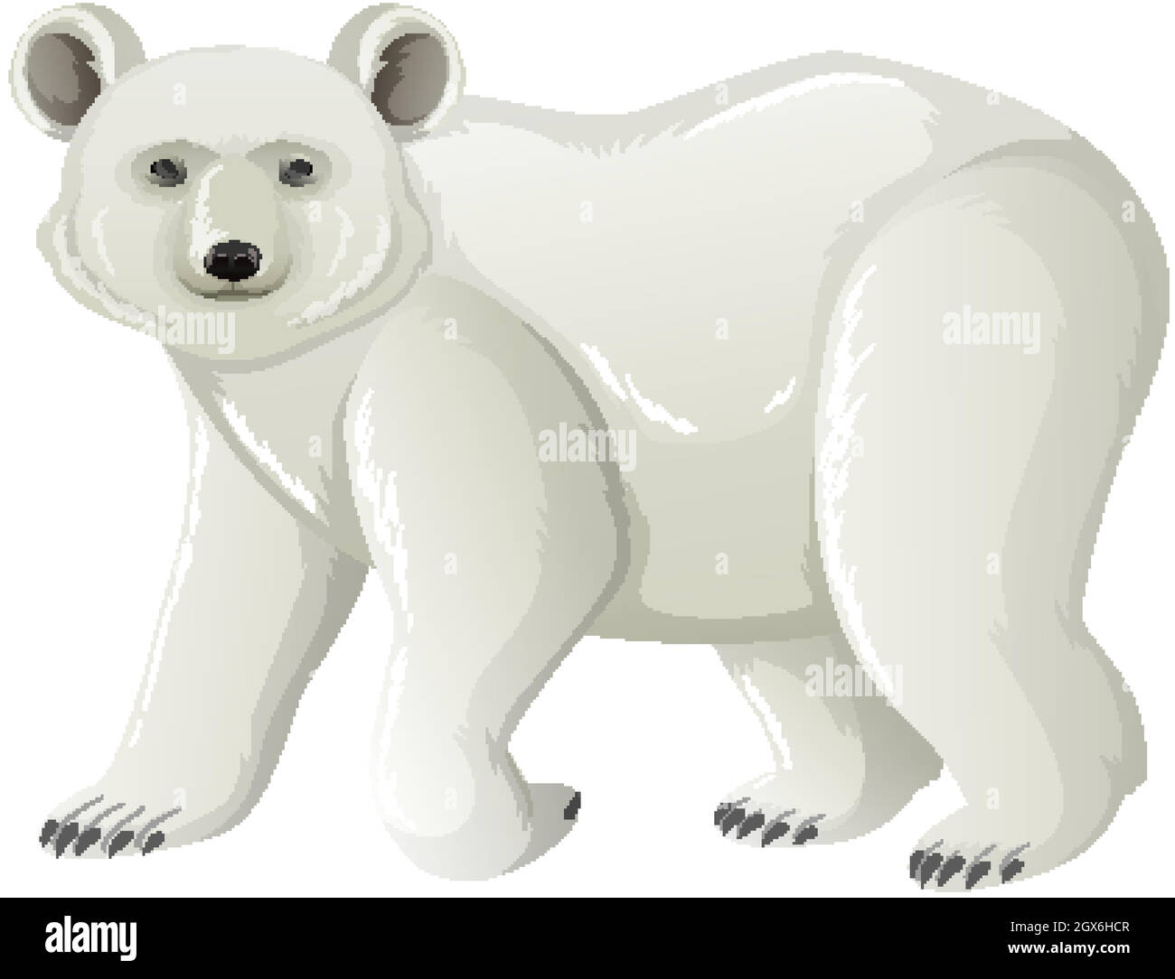 One polar bear standing on white background Stock Vector Image & Art ...