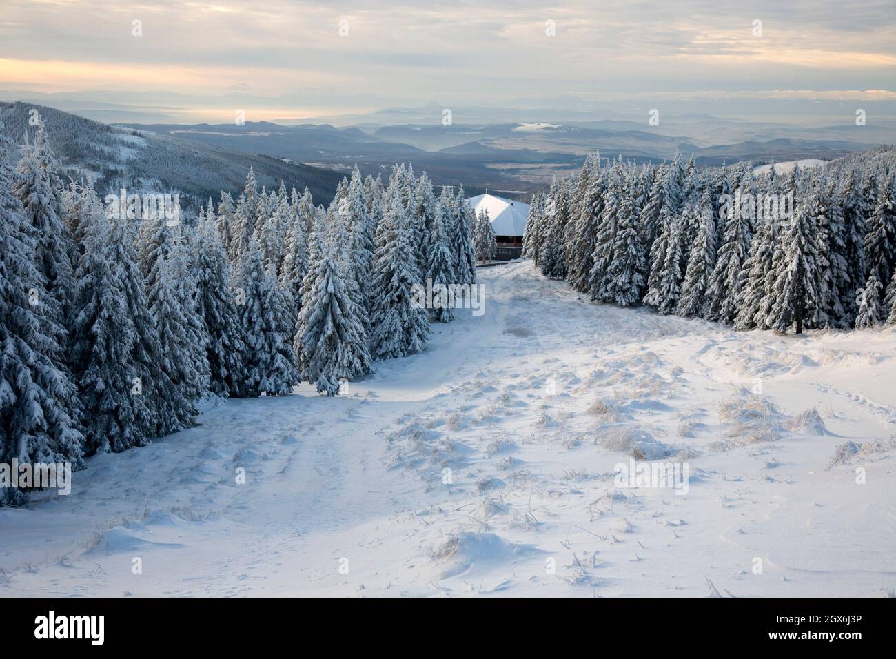 Winter landscape with trees Stock Photo - Alamy