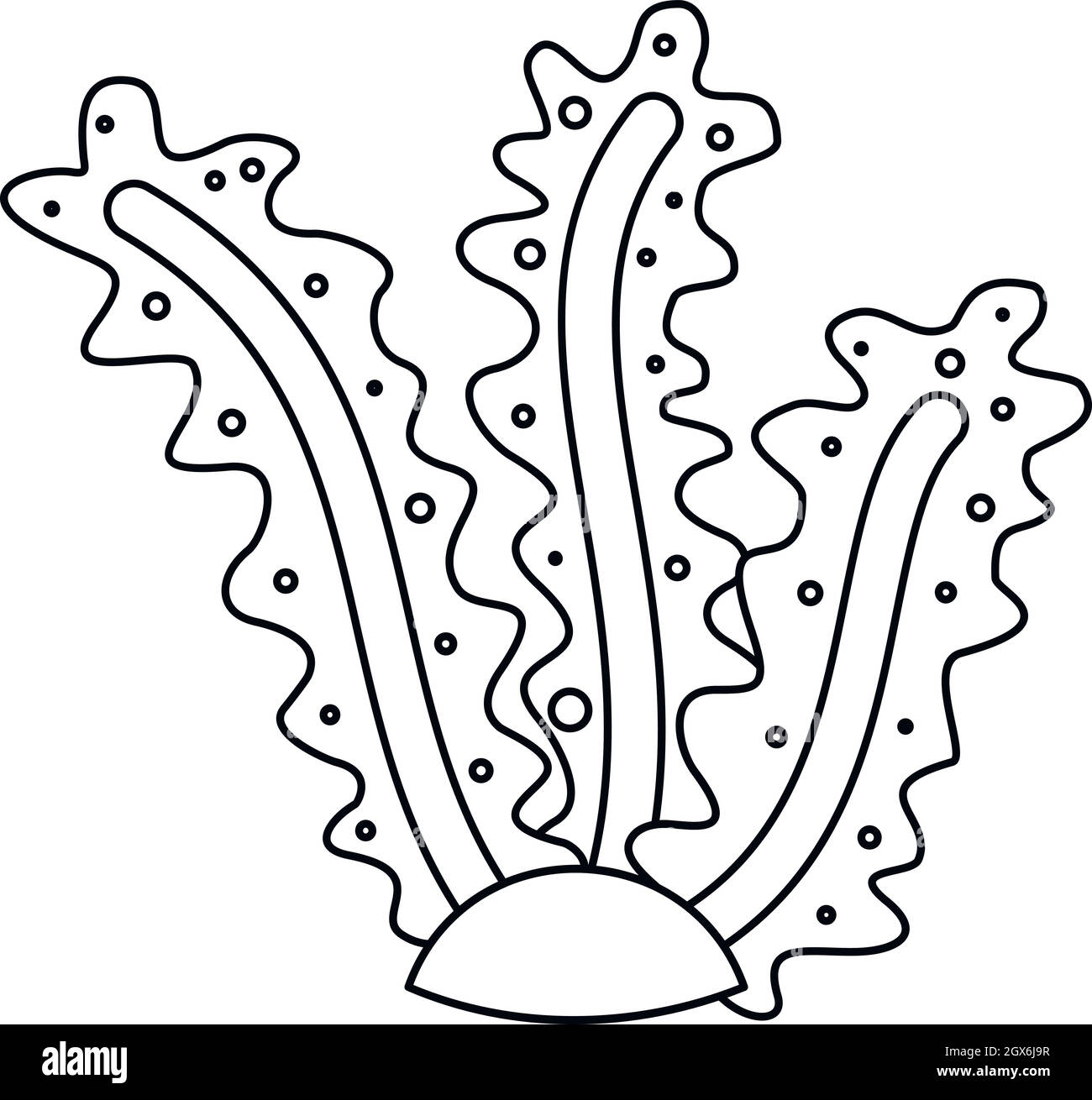 Coral leaf algae Stock Vector Images - Alamy