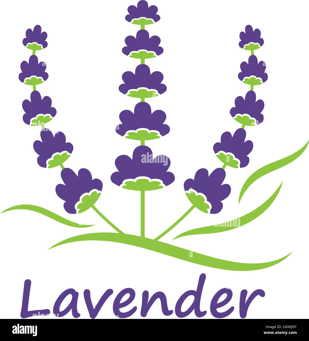 Flower vector illustration Cut Out Stock Images & Pictures - Alamy