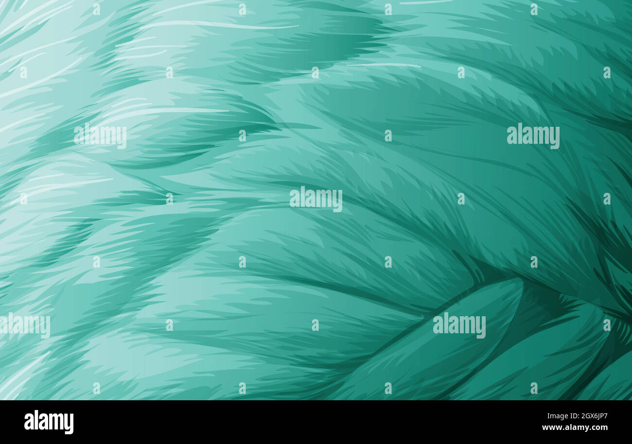 Feather zoom Stock Vector Images - Alamy