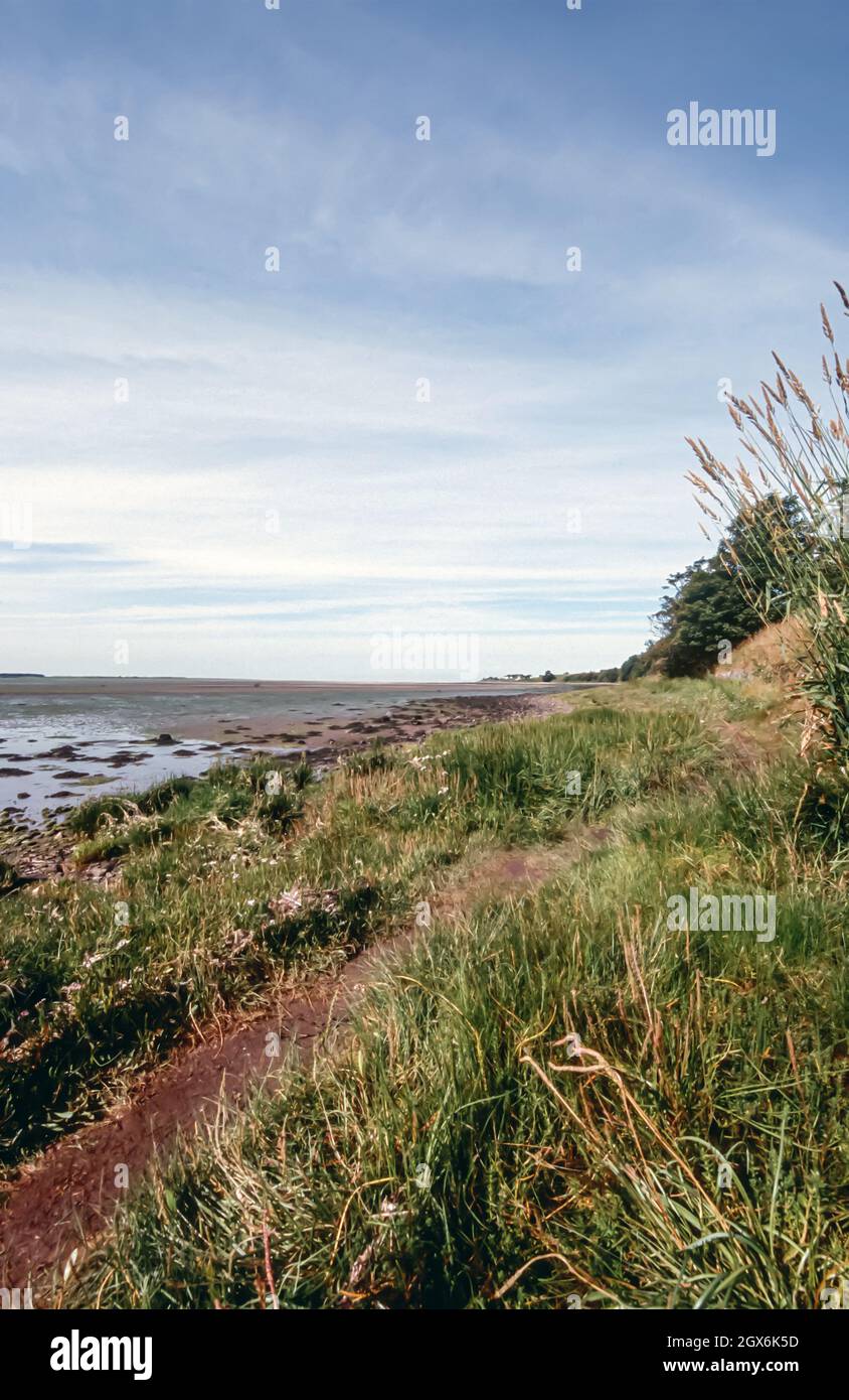 The foreshore of budle bay northumberland hi-res stock photography and ...