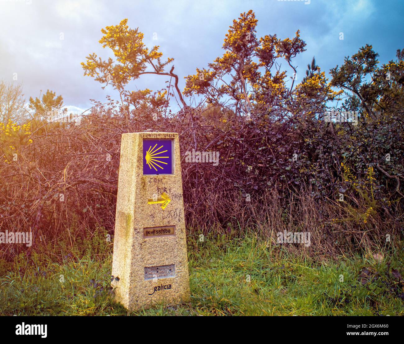 Camino de santiago, milestone, St. James way, Spain, scallop shell and ...