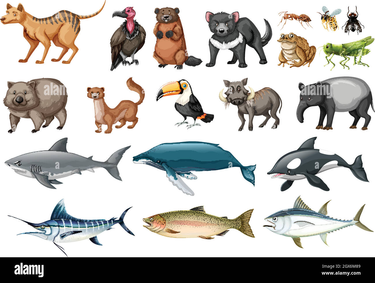 Set of different types of wild animals Stock Vector Image & Art - Alamy