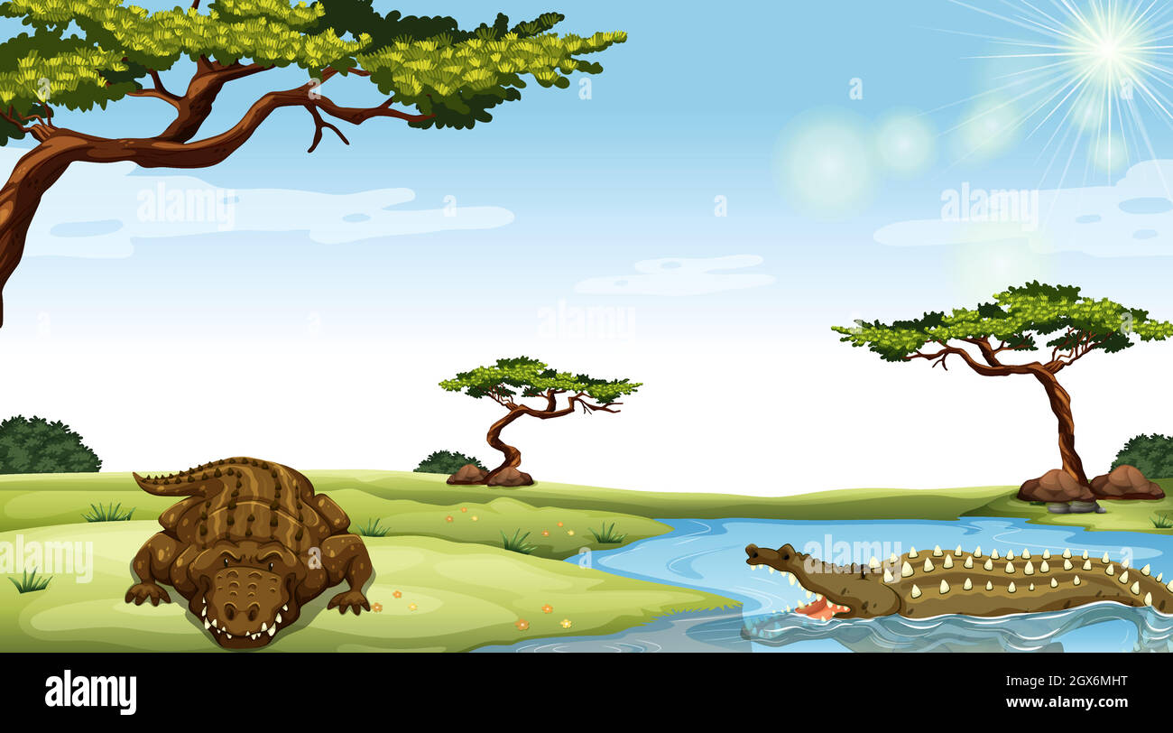 Jungle crocodiles Stock Vector Images - Alamy