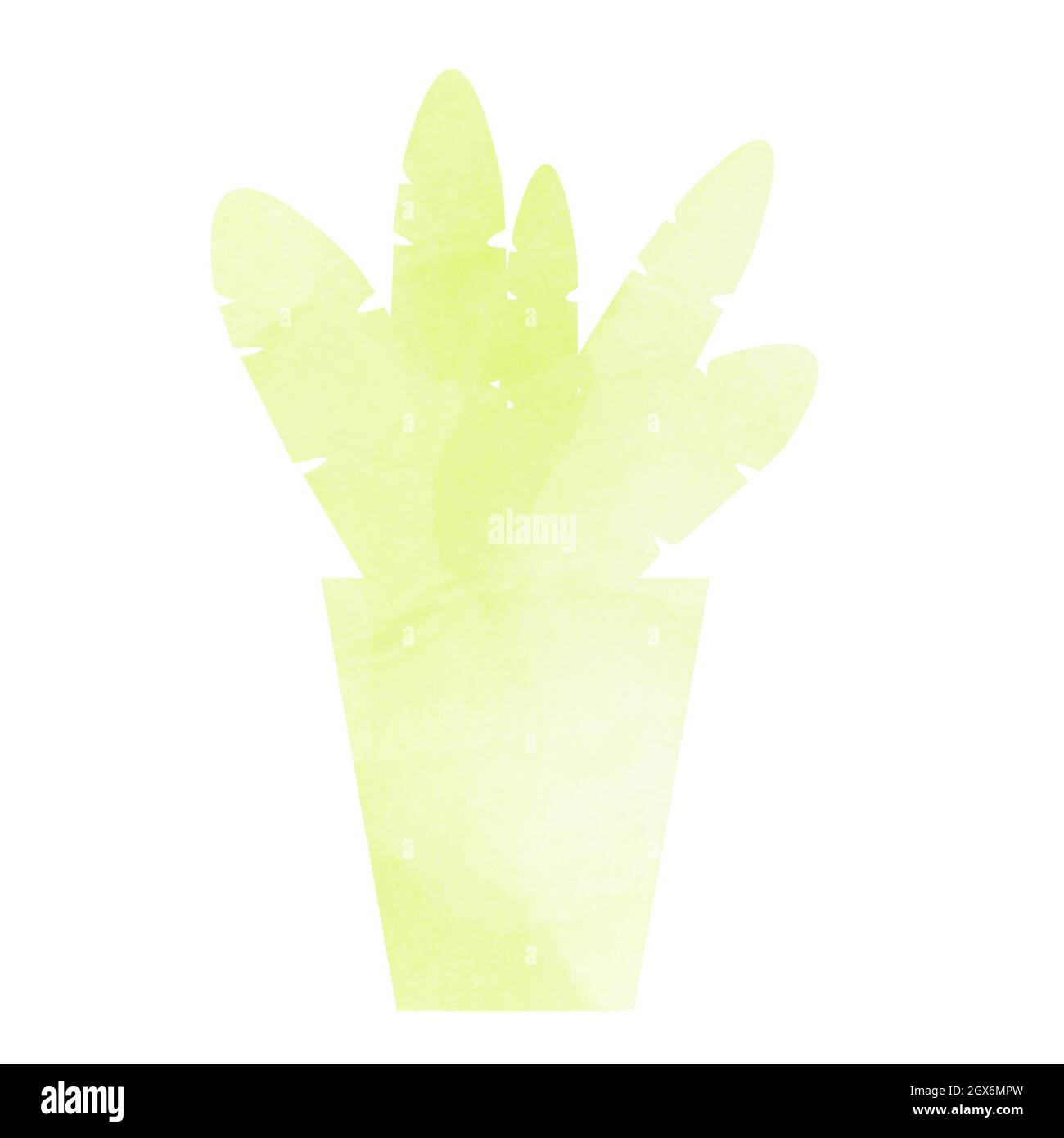 Indoor plant from watercolor texture. White Stock Photo - Alamy