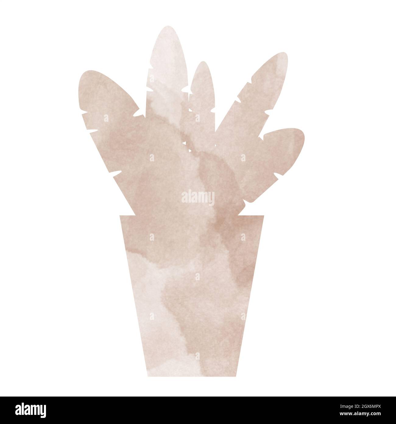 Indoor plant from watercolor texture. White Stock Photo - Alamy