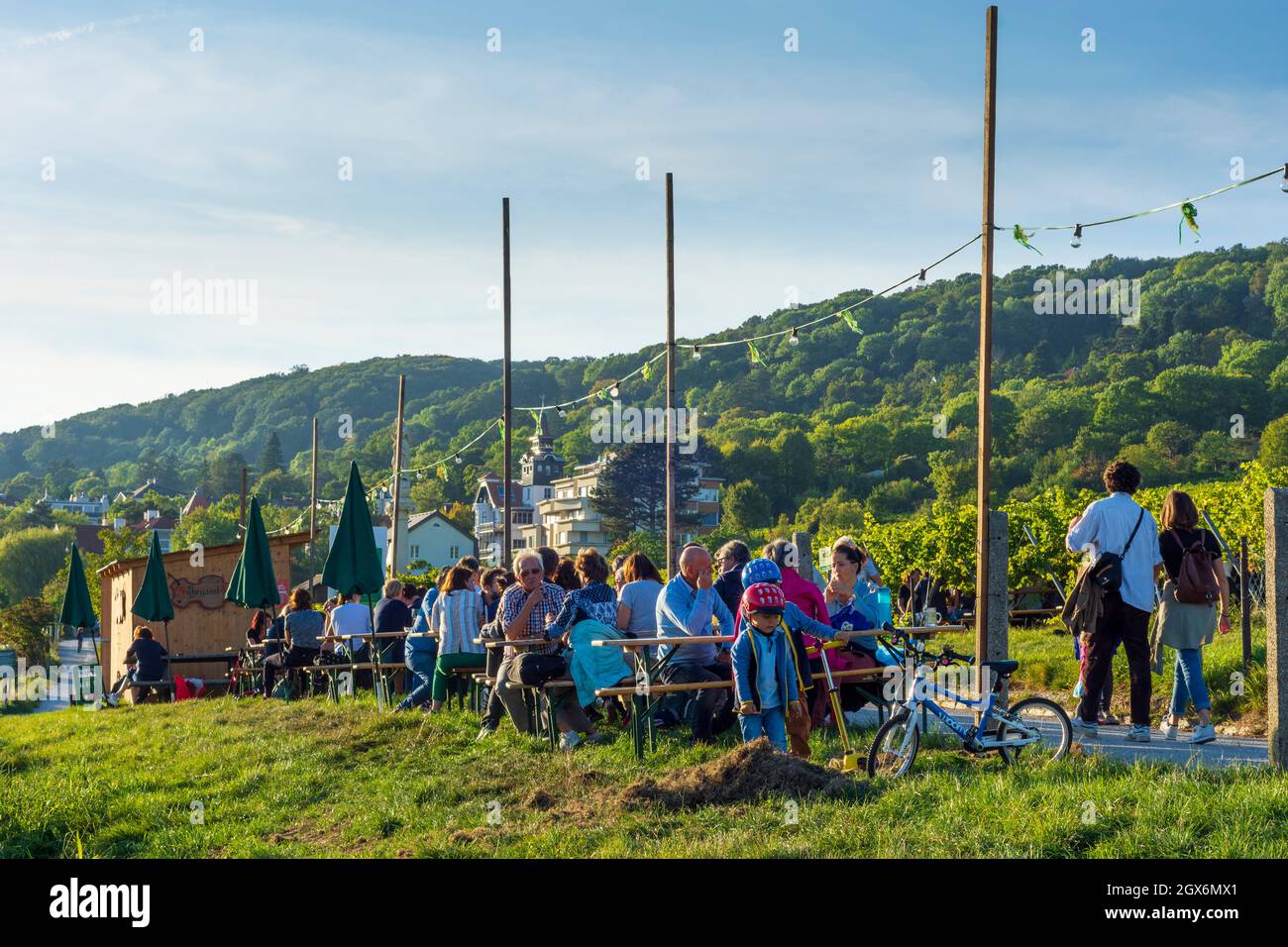 Wien, Vienna: openair wine selling booth, vineyard, in district ...