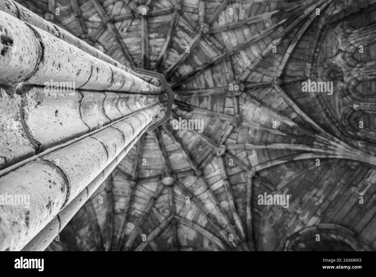 Grayscale low-angle shot of the chapter house vaulted ceiling of the ...