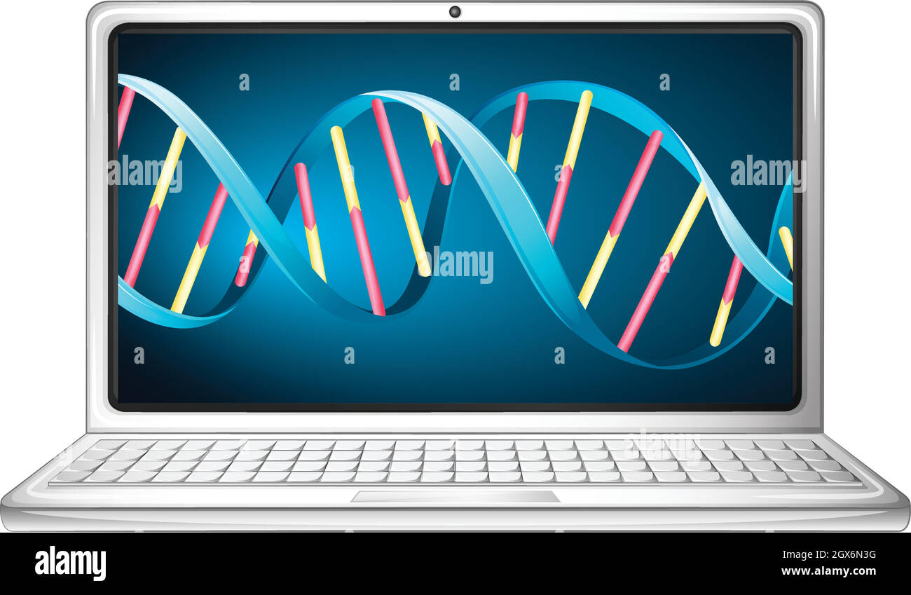 Computer laptop with DNA striat on screen Stock Vector Image & Art - Alamy