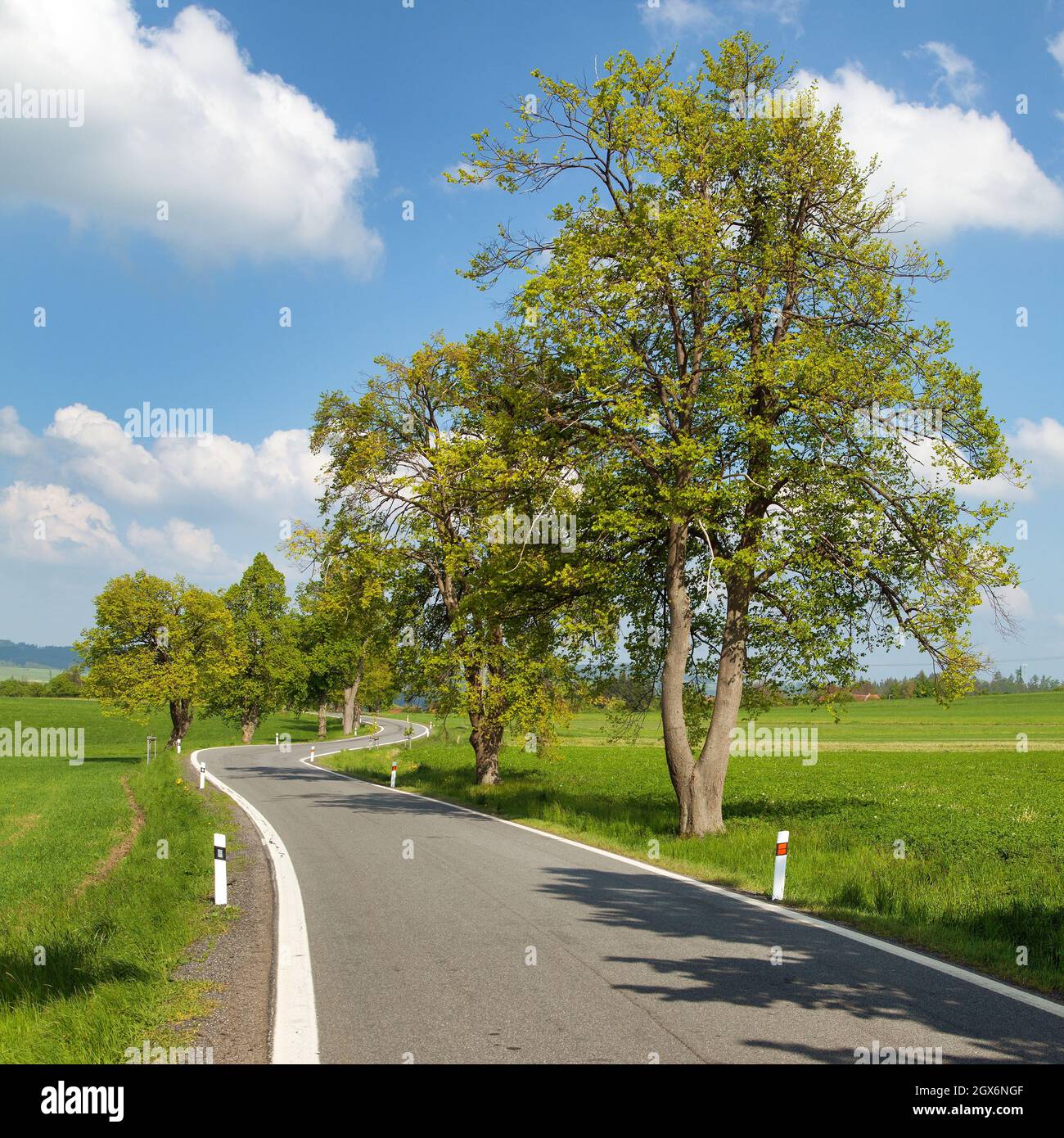 Spring springtime tree hi-res stock photography and images - Alamy