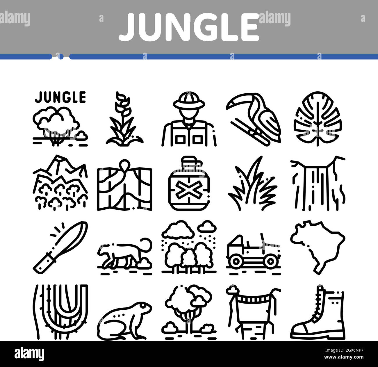Jungle Tropical Forest Collection Icons Set Vector Stock Vector Image ...