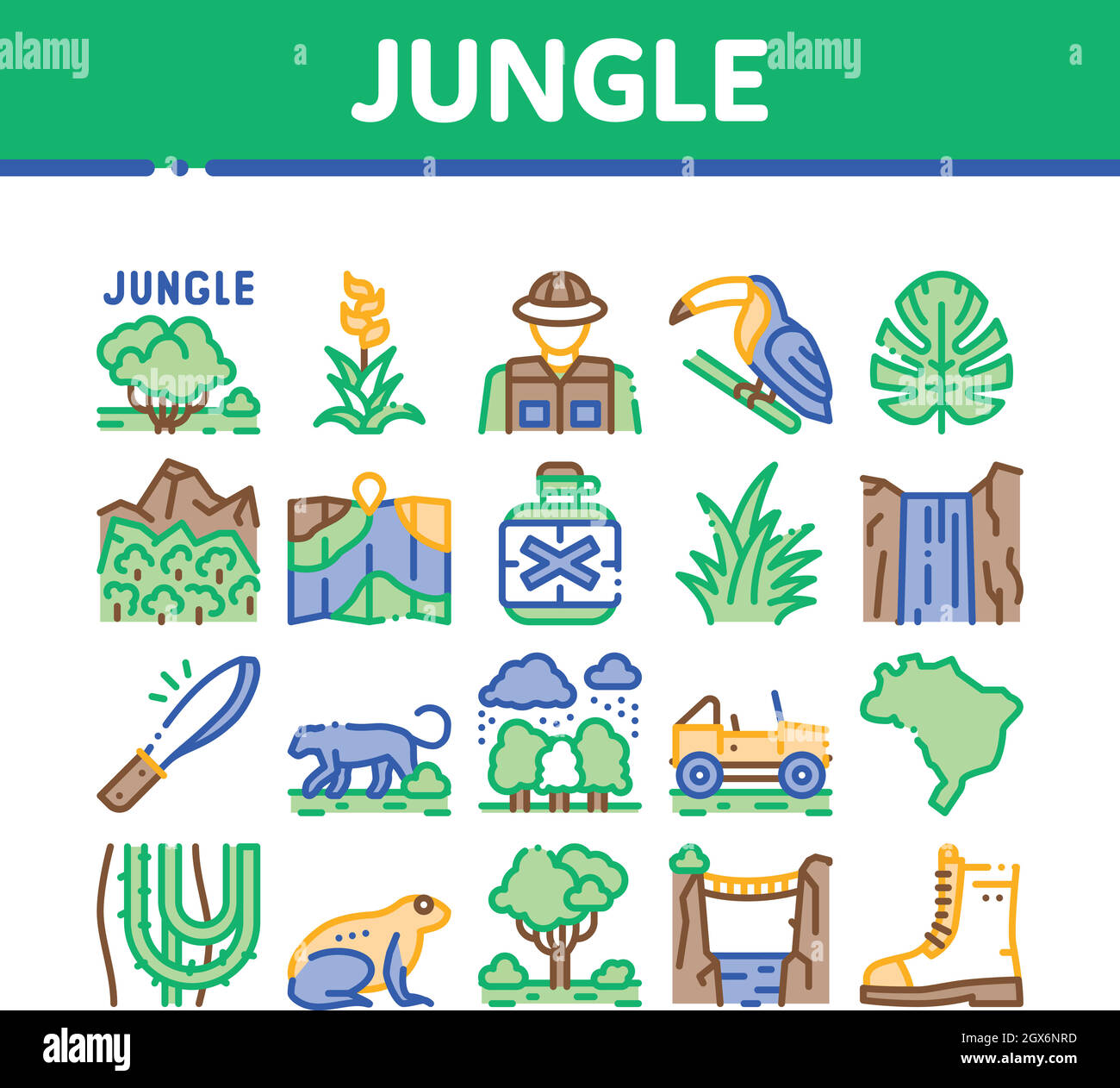 Jungle Tropical Forest Collection Icons Set Vector Stock Vector Image ...