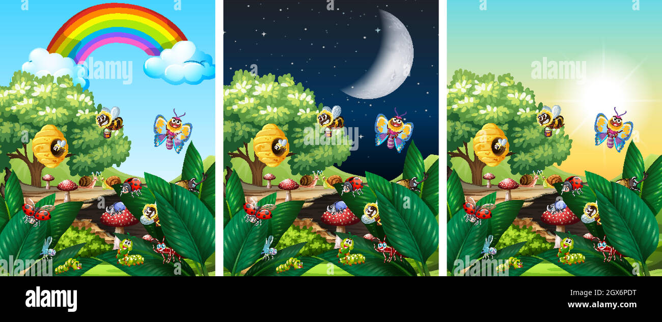 Three nature scenes with different times Stock Vector Image & Art - Alamy