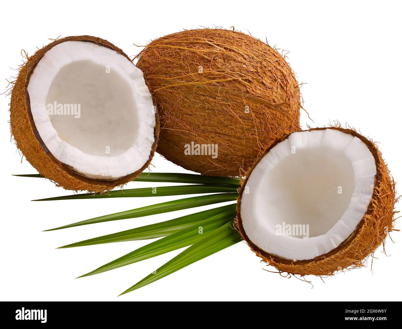 Whole and half fresh Coconut isolated on white background Stock Photo ...