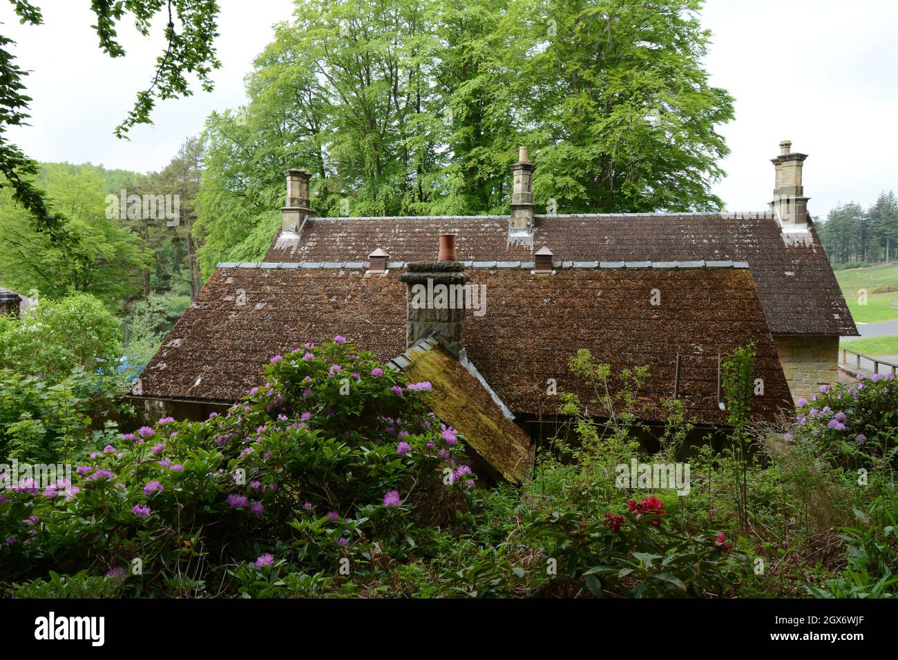 house Cragside Northumberland UK building buildings roof tops chimneys ...