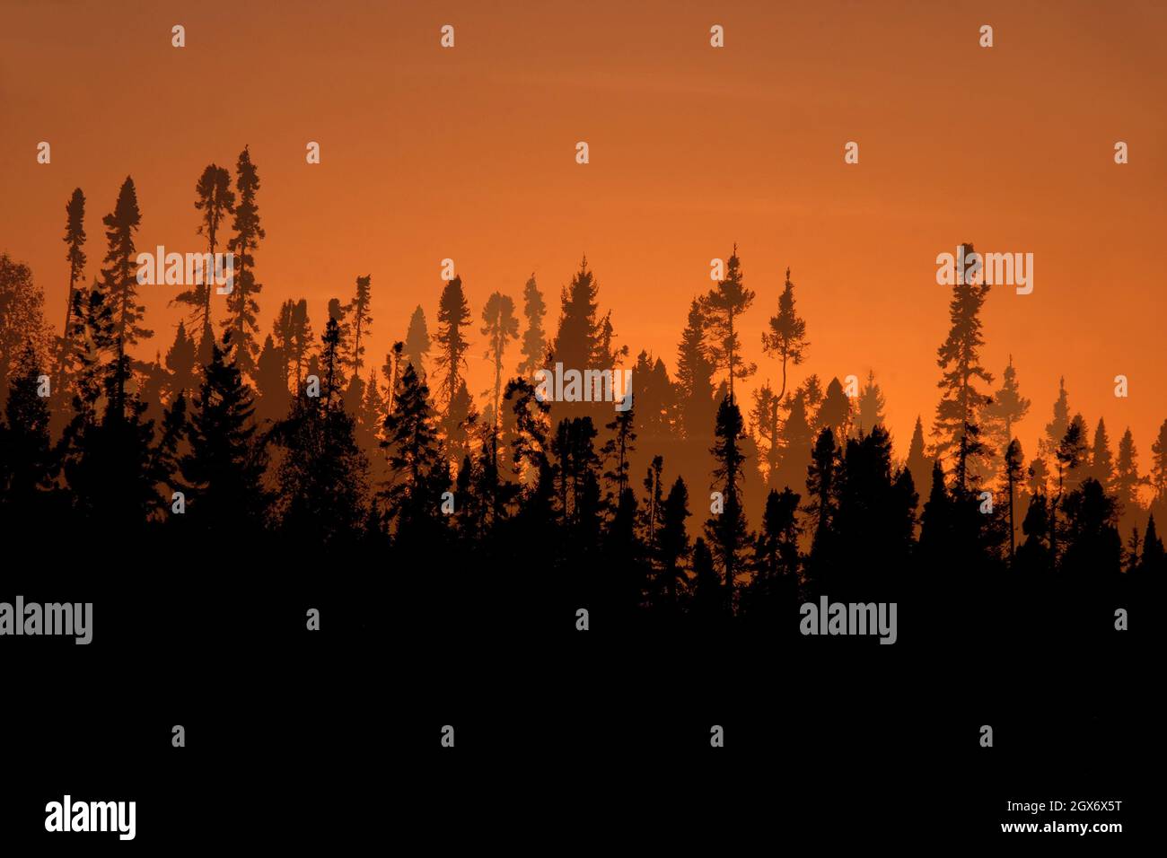 Fiery orange glow at sunset, Boundary Waters, northern Minnesota, USA ...