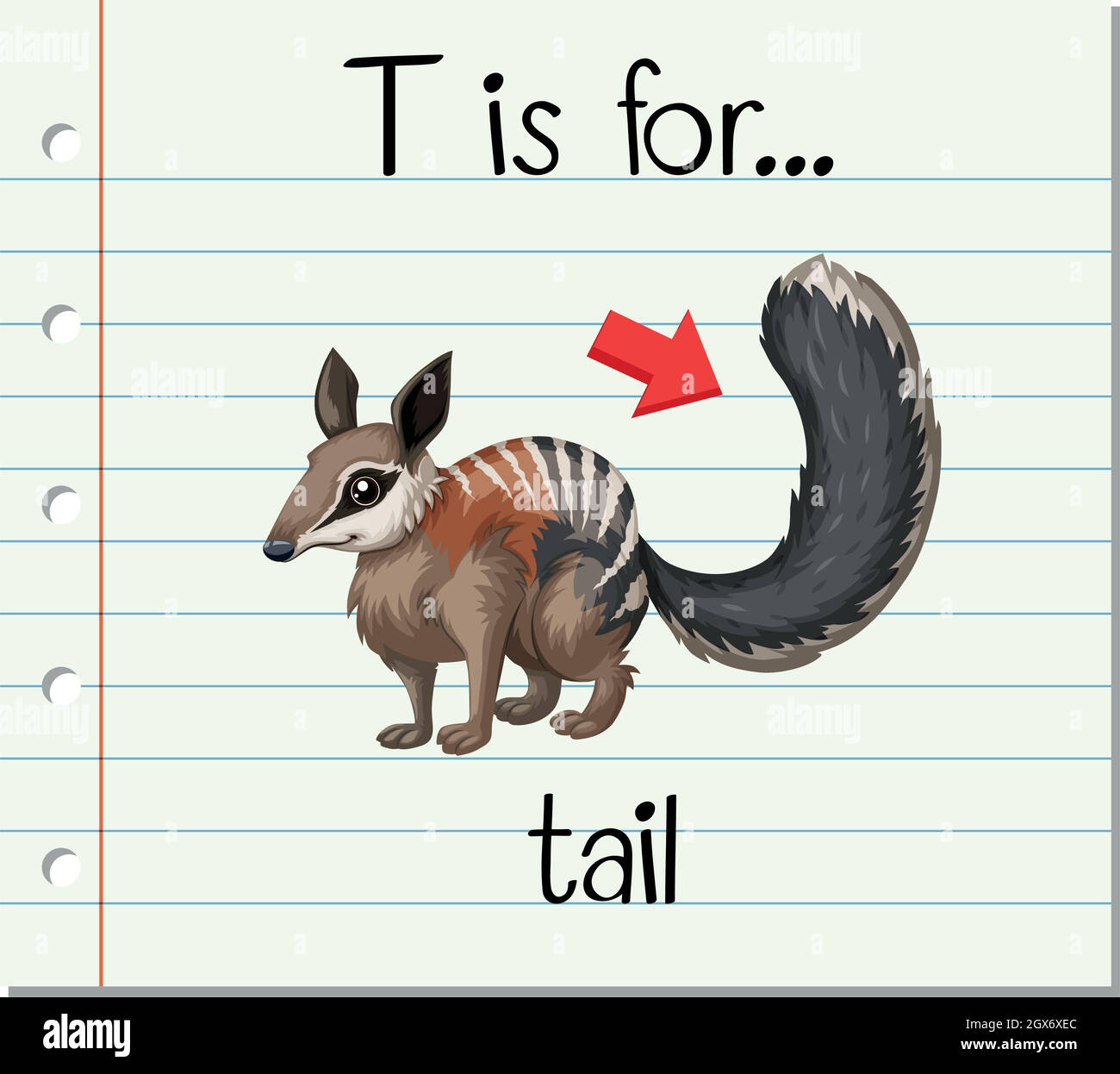 Flashcard letter T is for tail Stock Vector Image & Art - Alamy