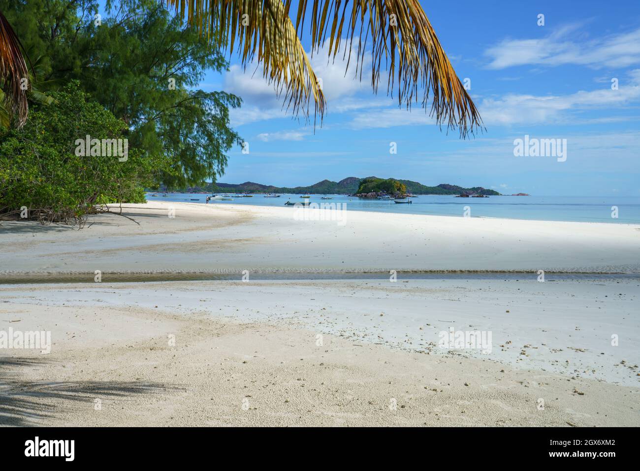 tropical beach at anse volbert on praslin on the seychelles Stock Photo ...