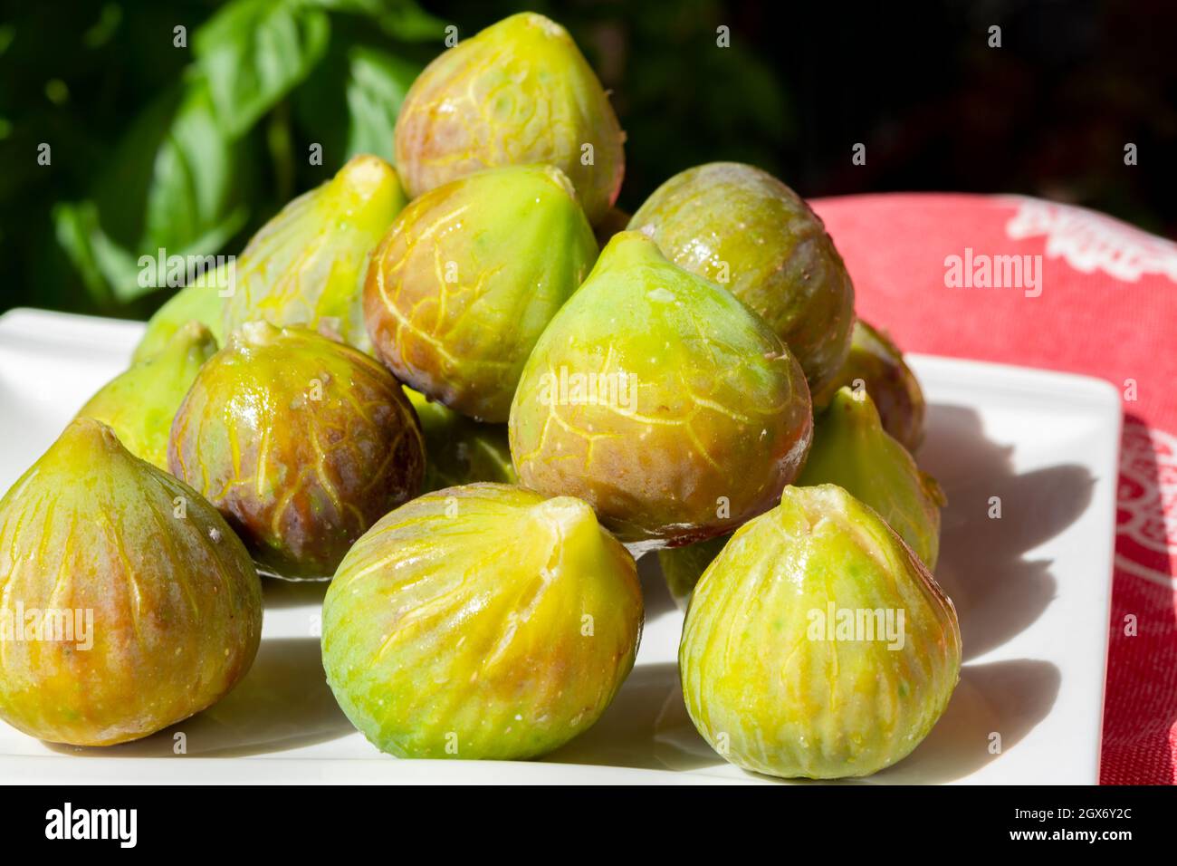 New harvest of fresh ripe sweet fig fruits on white plate Stock Photo ...