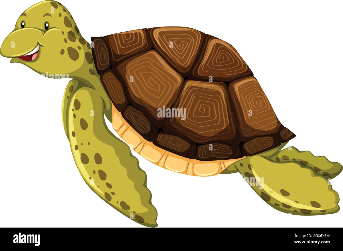 Clipart turtle Cut Out Stock Images & Pictures - Alamy