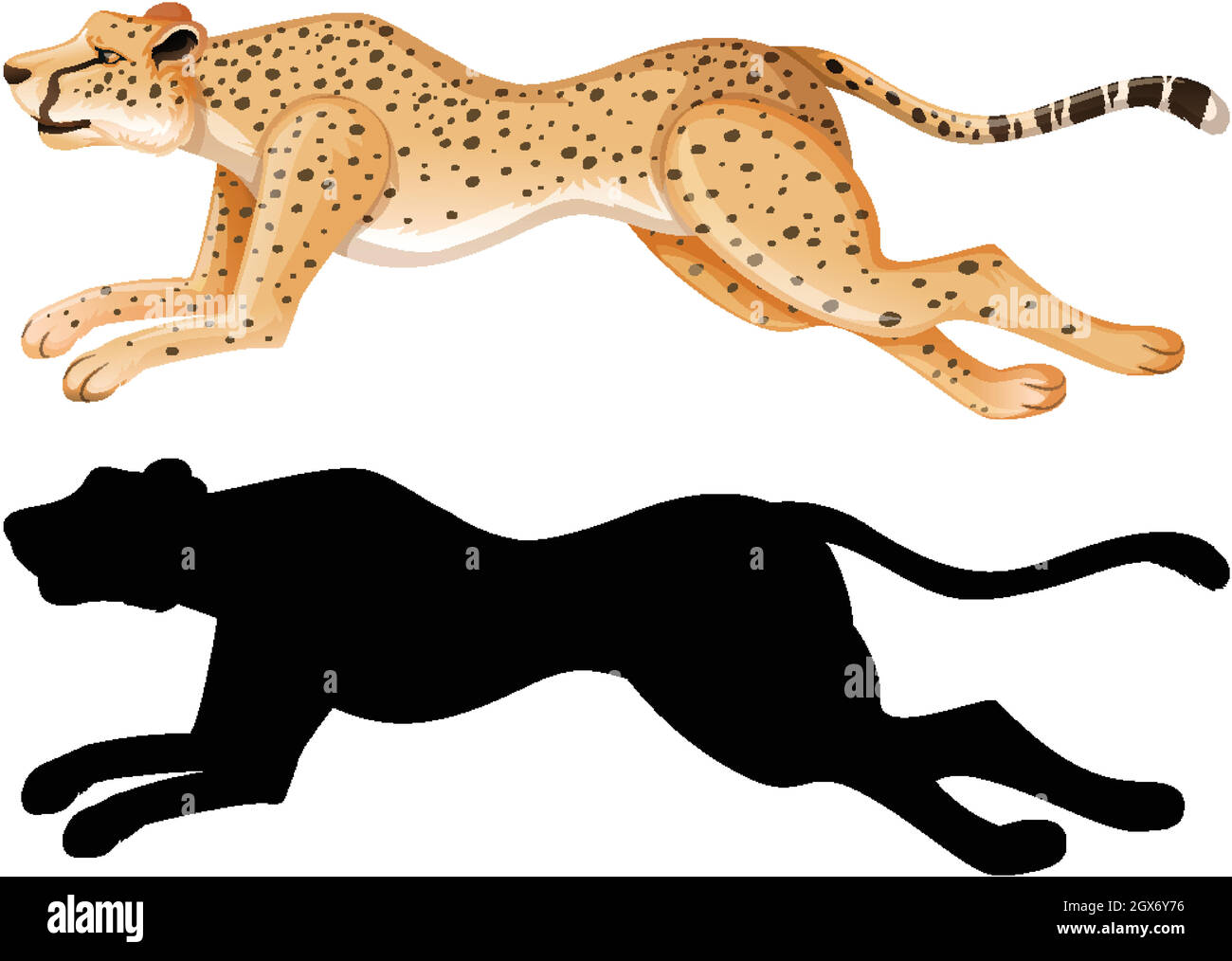 Set of cheetah cartoon Stock Vector Image & Art - Alamy