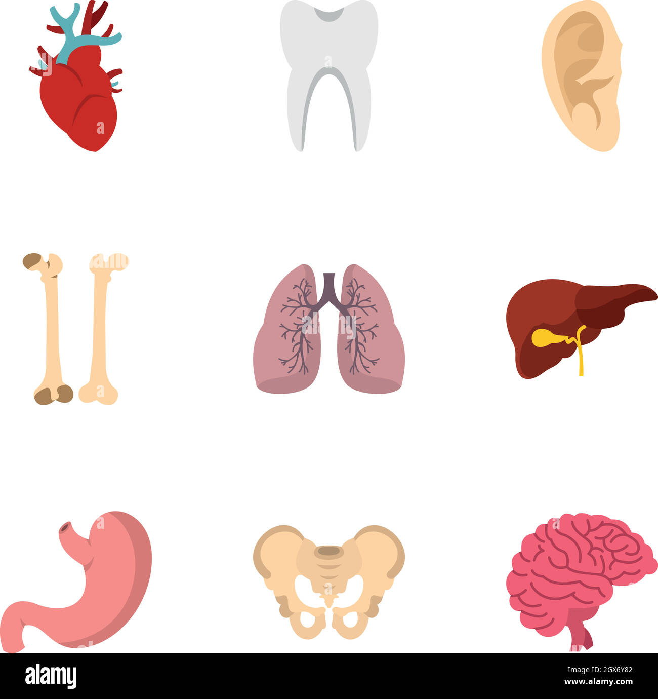 Heart inside flat style Cut Out Stock Images & Pictures - Alamy