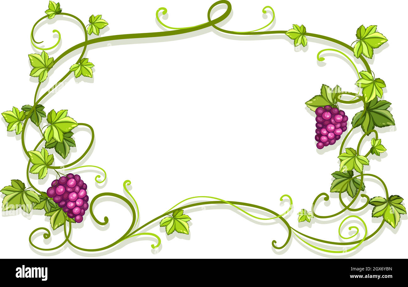 Grapes frame clipart hi-res stock photography and images - Alamy