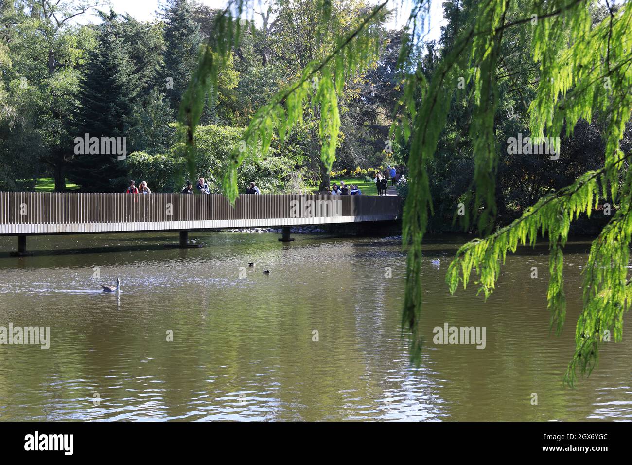 The Sackler Crossing bridge, designed by architect John Pawson, over ...