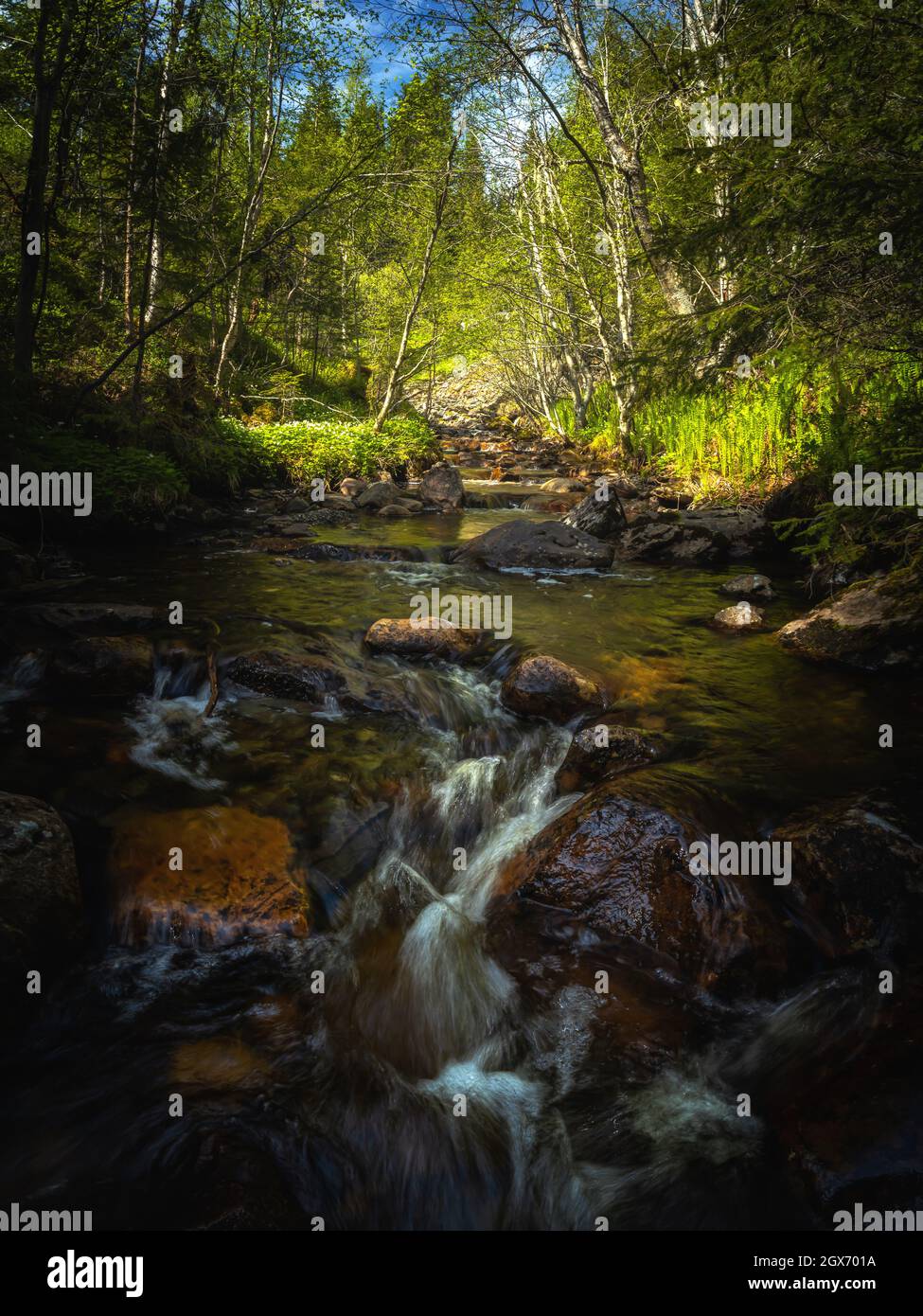 Beautiful shot field river hi-res stock photography and images - Alamy
