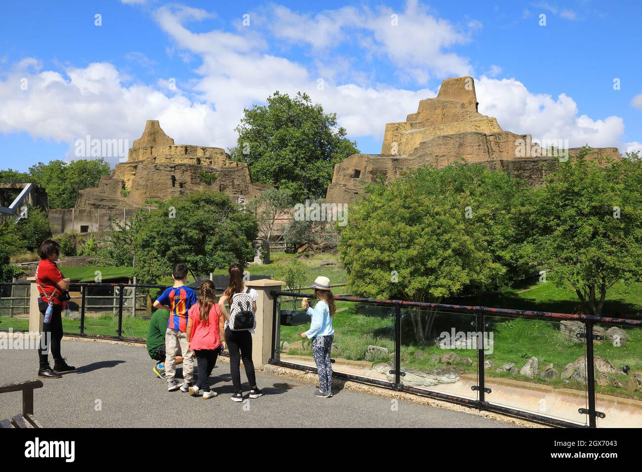 Wallabies and emus in their Australian Outback enclosure on the Mappin ...