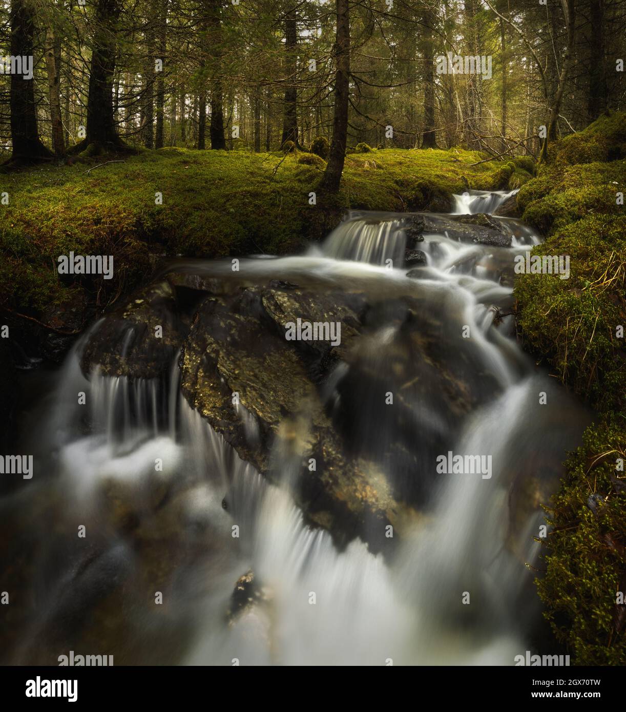Vertical shot of a waterfall in a forest Stock Photo - Alamy