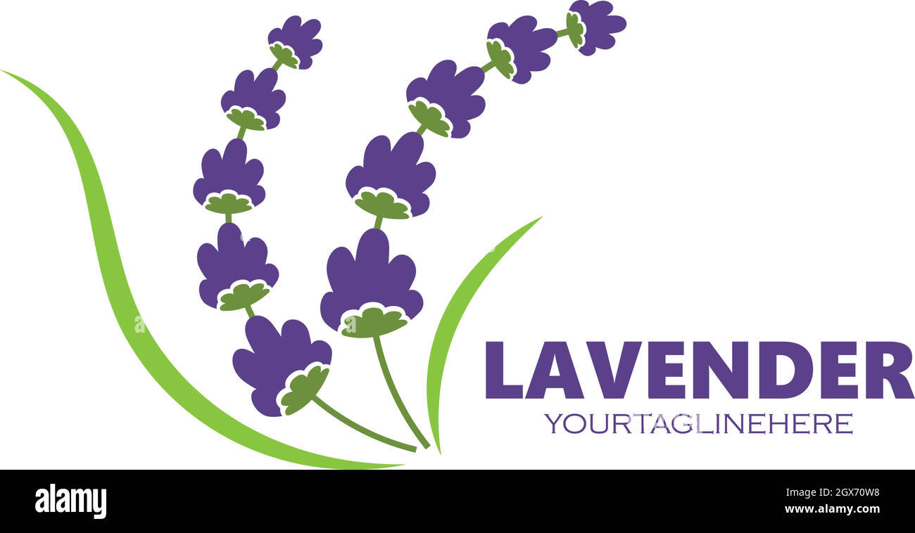 Flower vector illustration Cut Out Stock Images & Pictures - Alamy