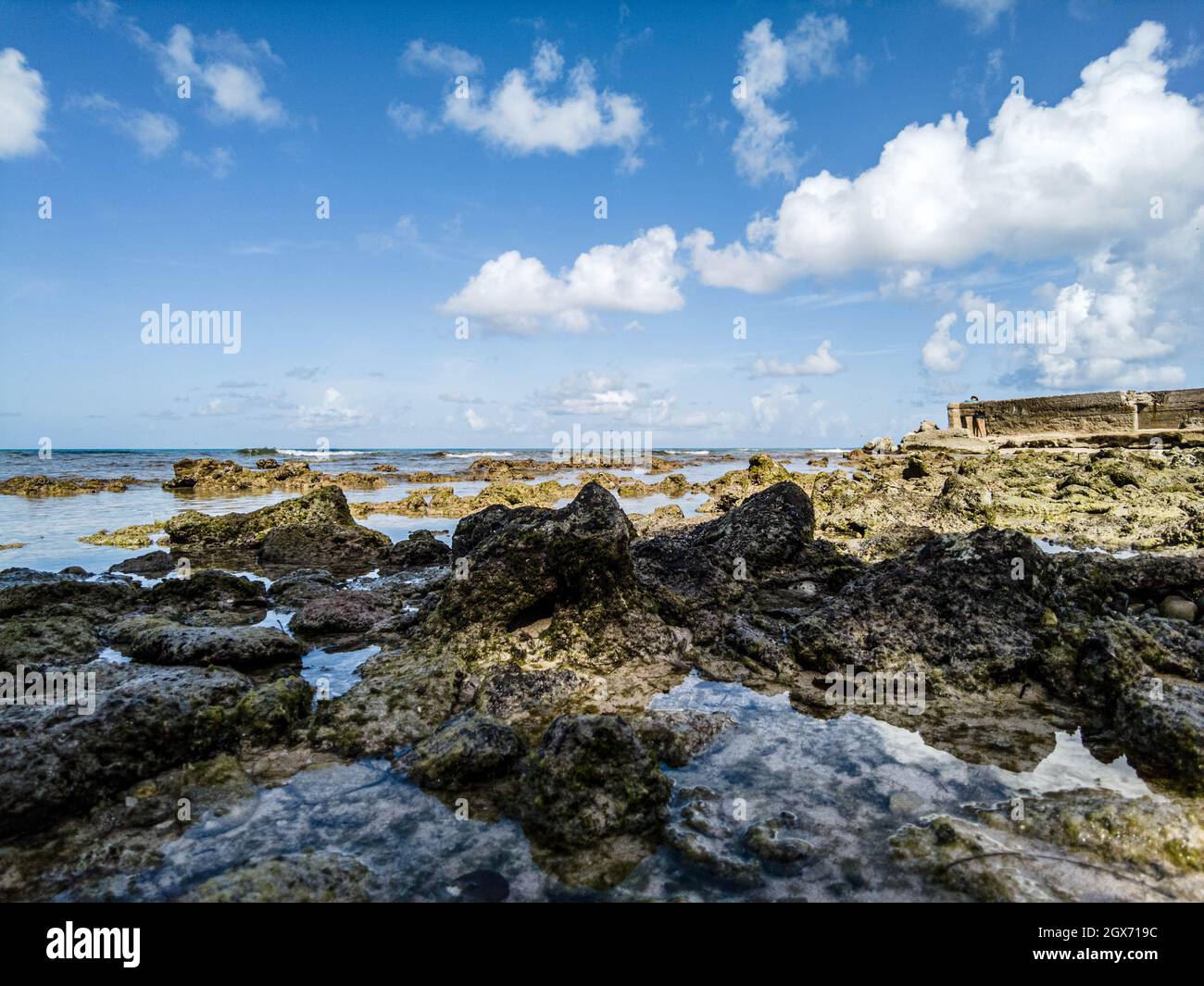 Sea in Barbados Stock Photo - Alamy