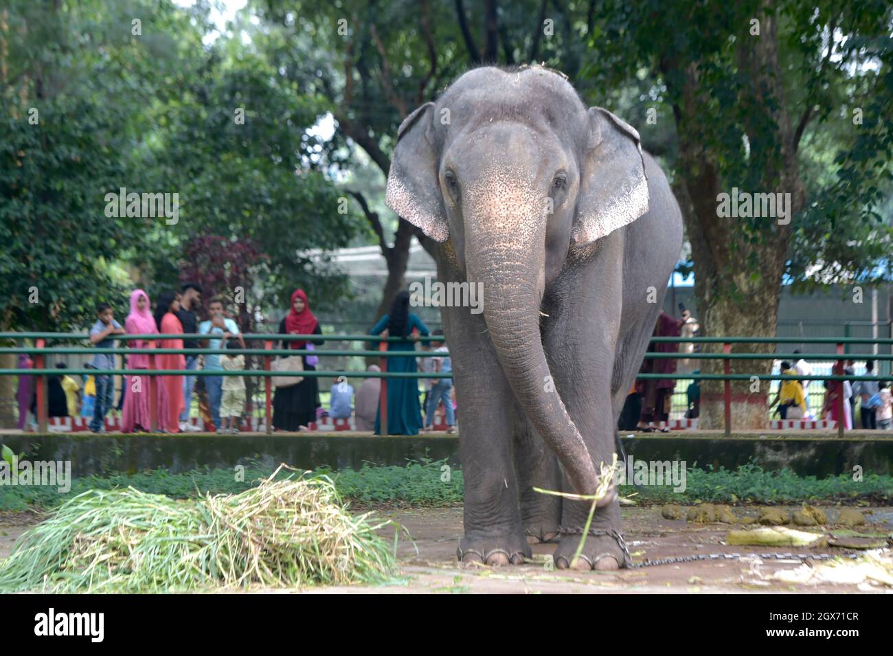 Dhaka. 4th Oct, 2021. People visit the Bangladesh National Zoo in Dhaka ...