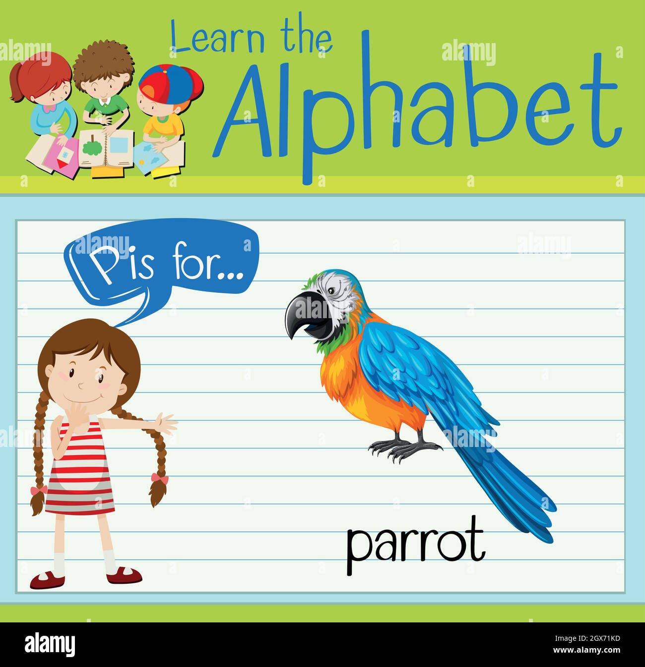 Flashcard letter P is for parrot Stock Vector Image & Art - Alamy